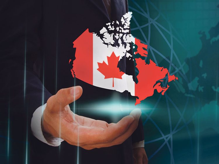 How advisors’ books are evolving across Canada’s financial advice ...